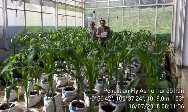 FABA Tidak Beracun dan Baik untuk Tanaman