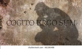 Ketika Cogito Menjadi Proyeksi, Refleksi Kritis atas Paradigma Cartesian