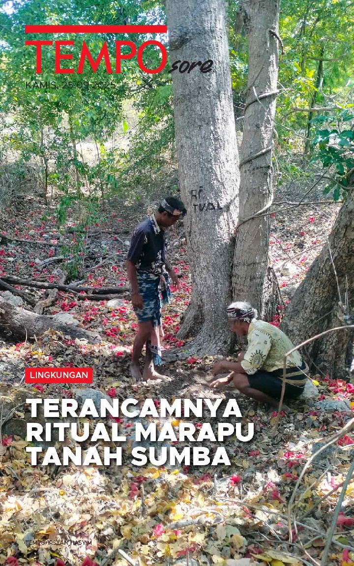 Edisi harian Tempo Terancamnya Ritual Marapu Tanah Sumba, 25 September ...