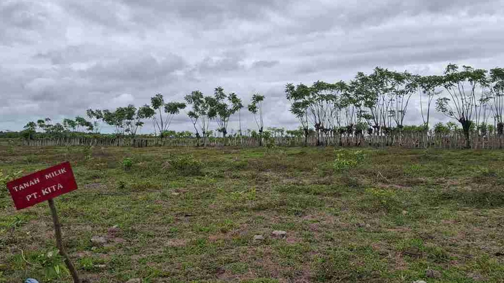 Waswas Dampak Kawasan Industri Takalar | Bollo.id | Teras.id